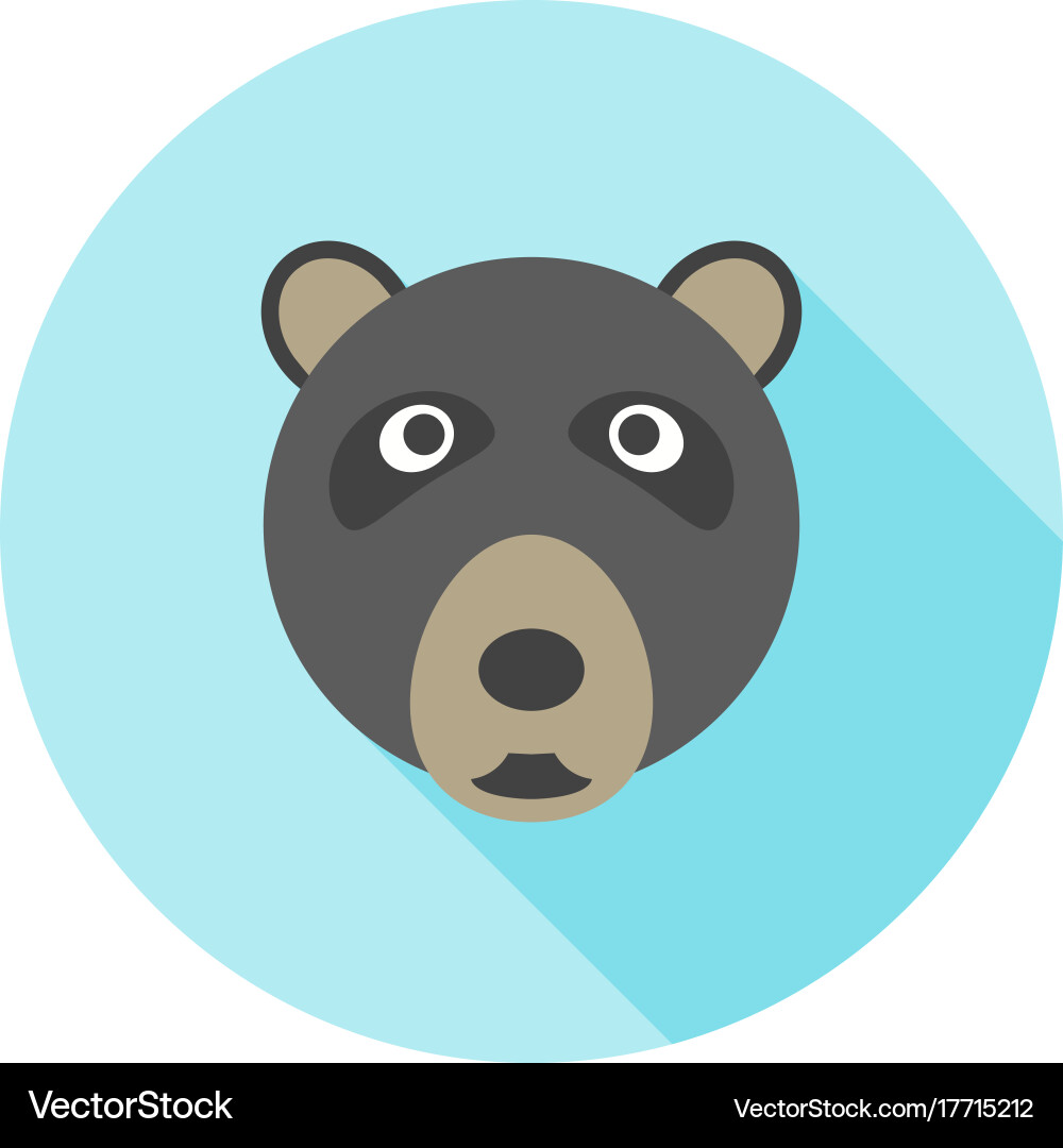 Bear face Royalty Free Vector Image - VectorStock