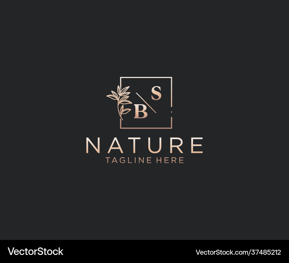 Initial sb letters beautiful floral feminine Vector Image
