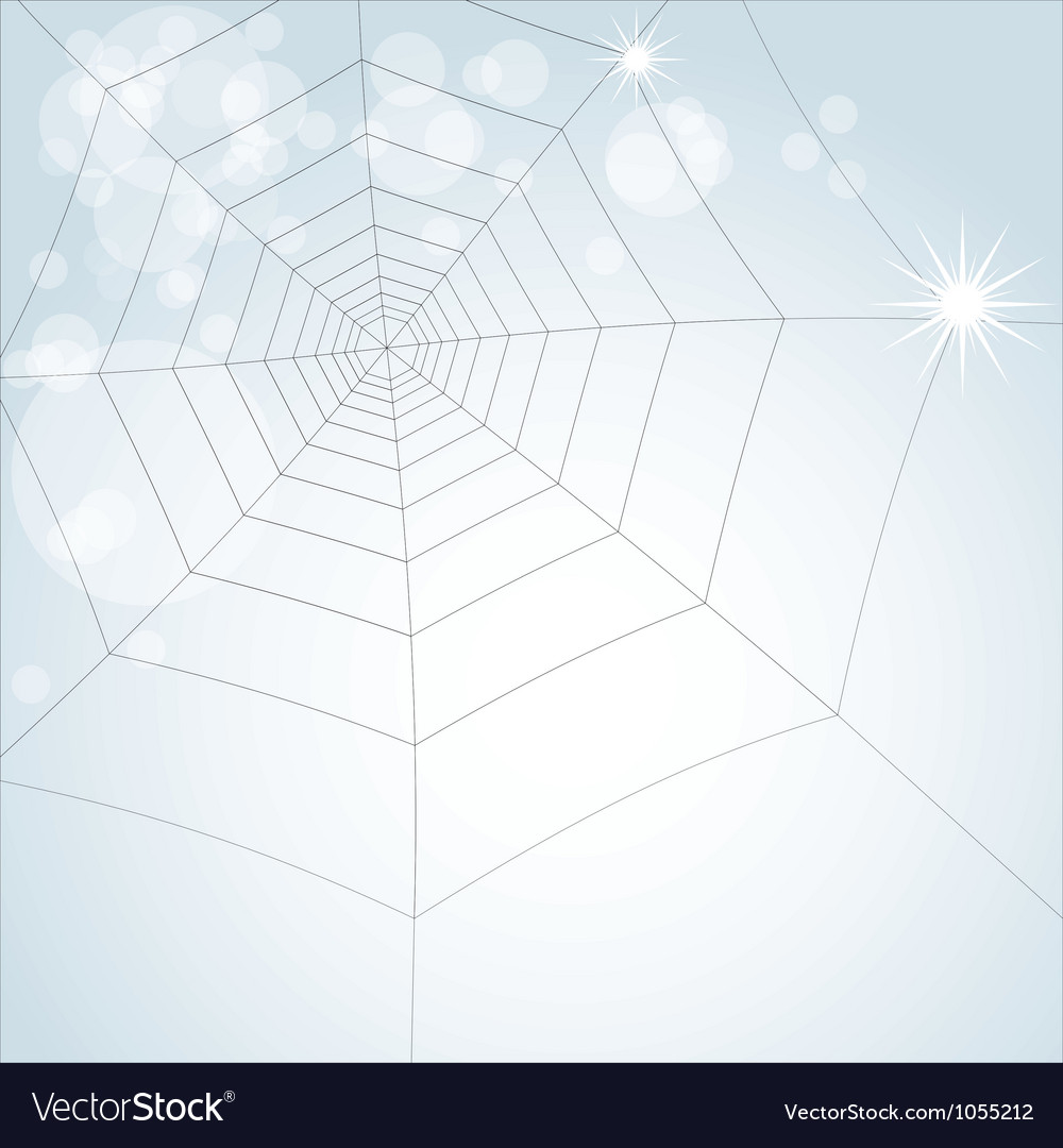 Spiderweb Royalty Free Vector Image - VectorStock