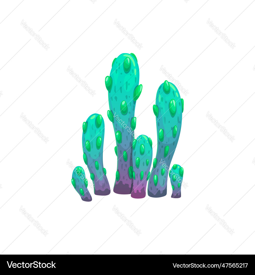 Cartoon underwater sponge seaweed plant algae Vector Image