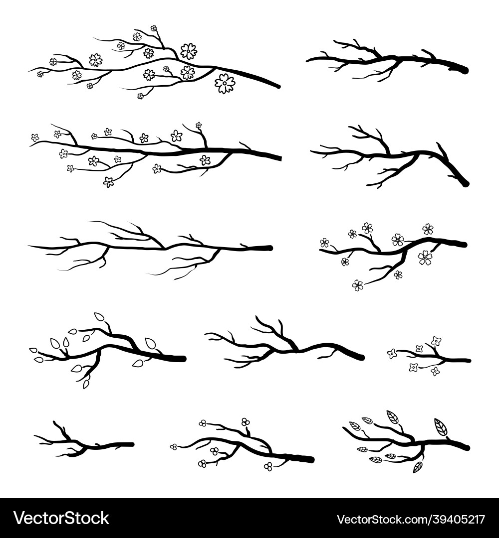 Collection of tree twigs and branches Royalty Free Vector