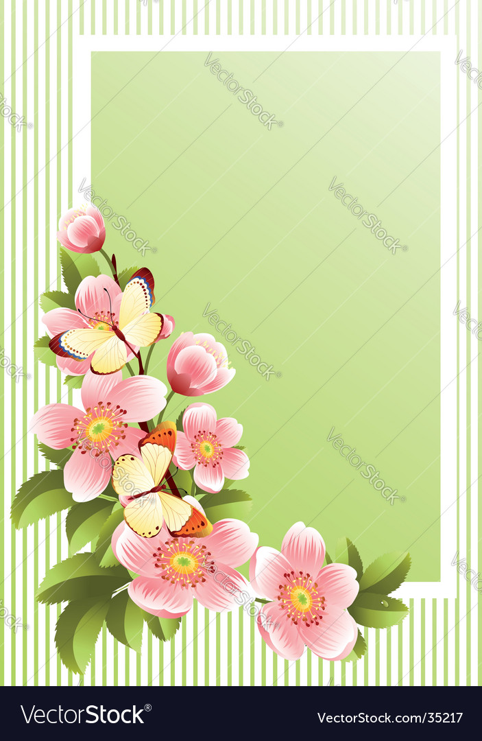 Flower frame Royalty Free Vector Image - VectorStock