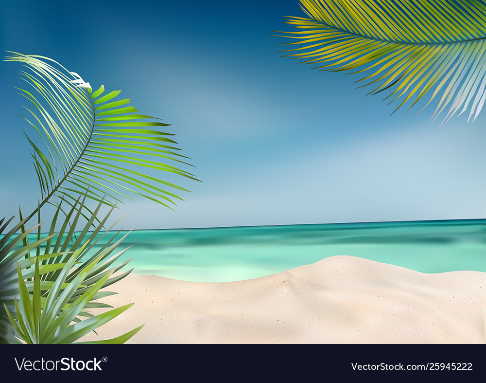 Beach with palms and sea Royalty Free Vector Image
