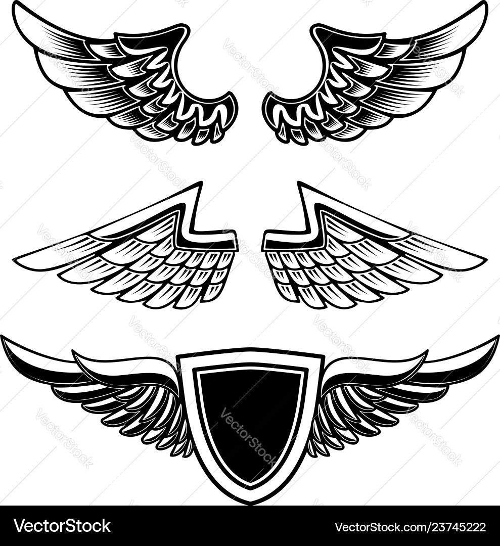 Set of vintage emblems with wings isolated Vector Image