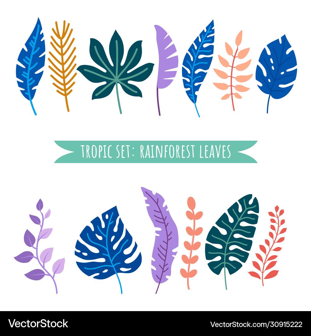 Set tropical leaves rainforest Royalty Free Vector Image