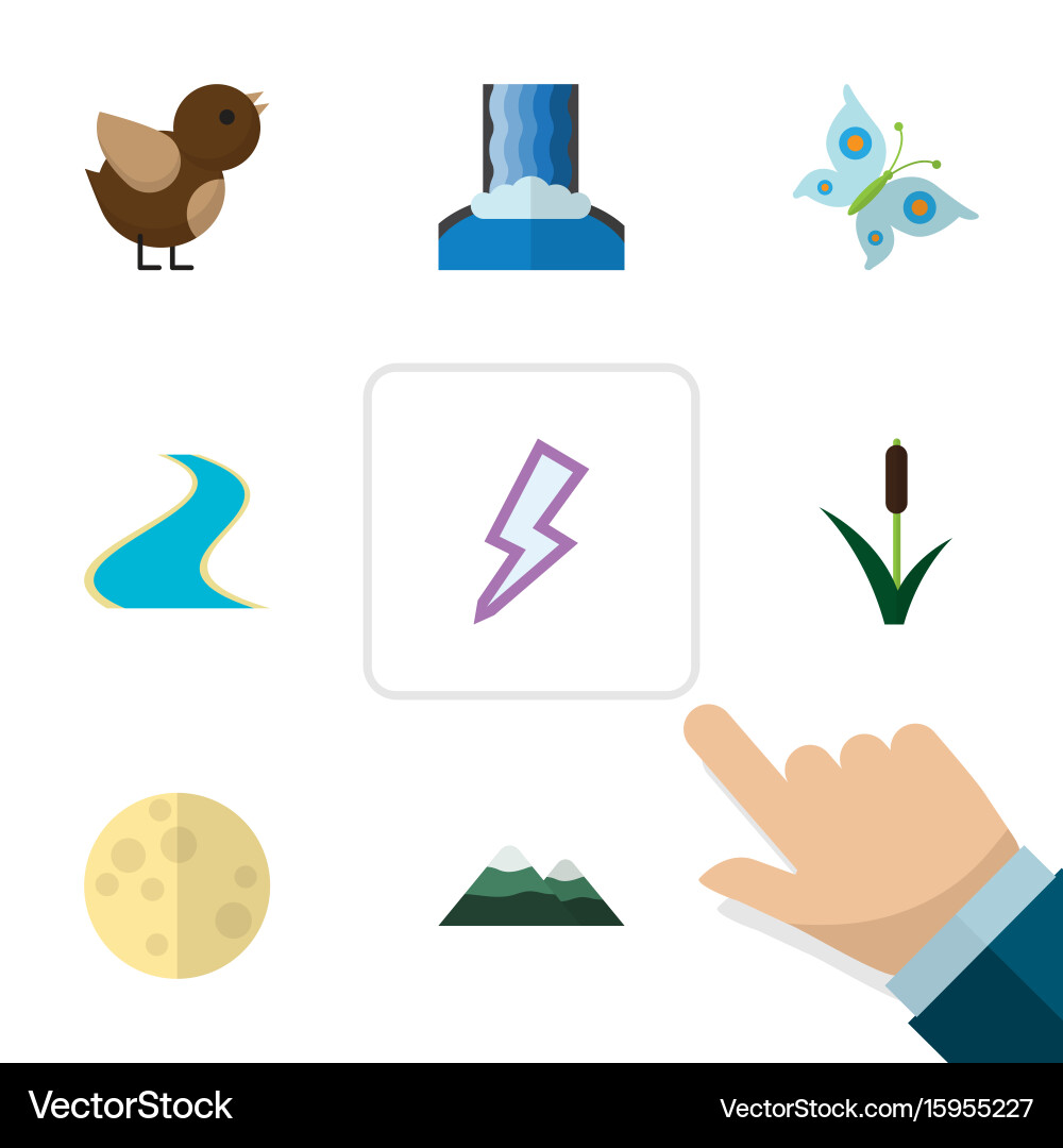 Flat icon bio set of lightning bird peak Vector Image