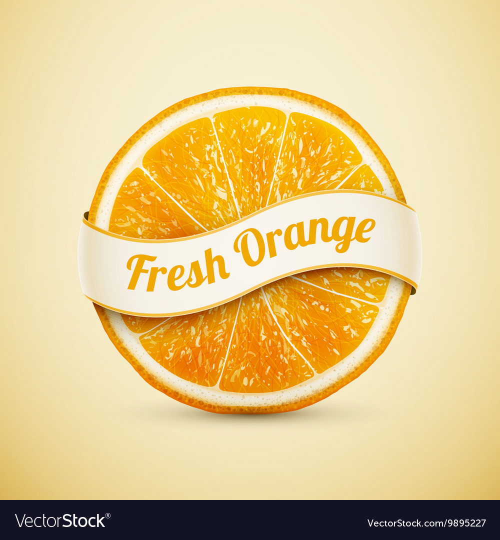 Orange Royalty Free Vector Image - VectorStock