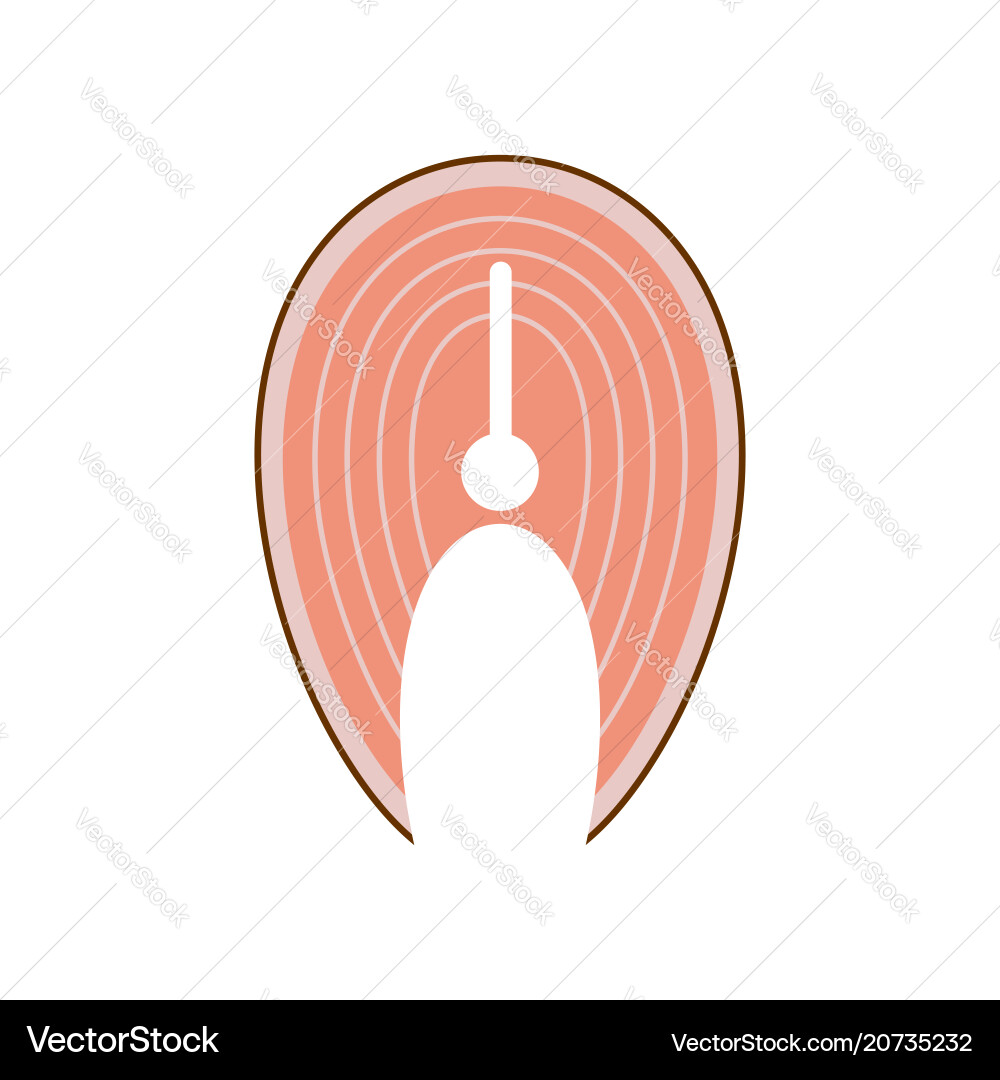 Piece of fish on white background fresh slice Vector Image