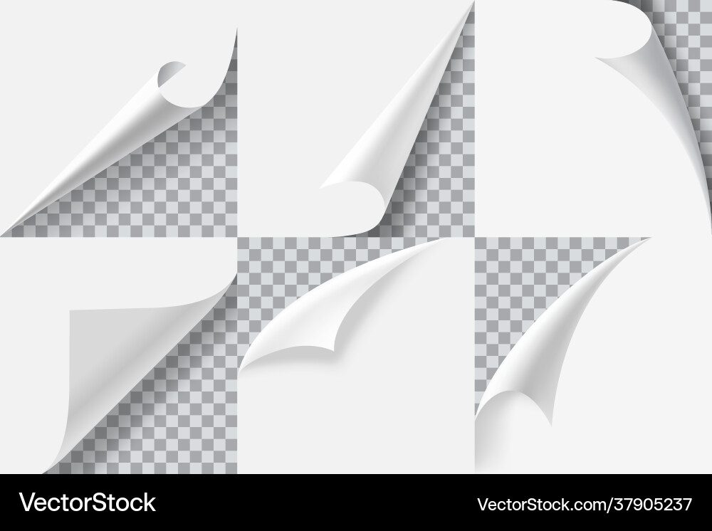 Page corners realistic curled paper edge peeling Vector Image