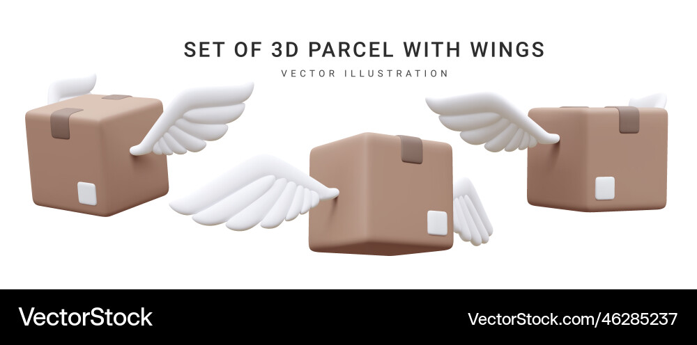 Set of 3d realistic parcel with wings isolated Vector Image