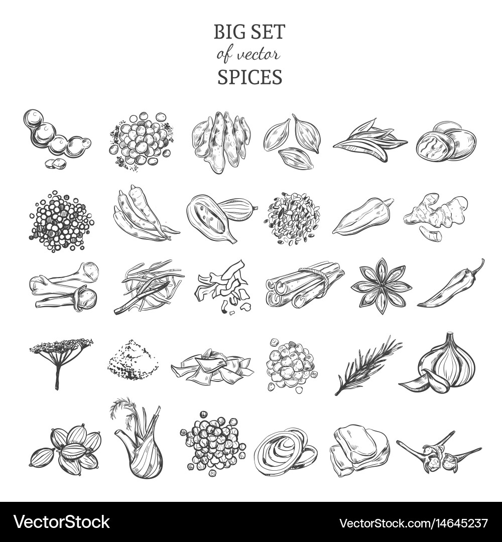 Sketch natural and organic plants set Royalty Free Vector