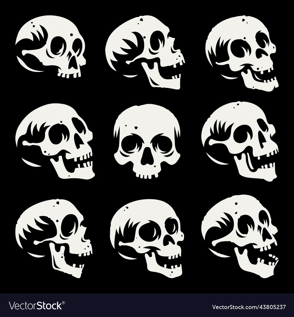 Skulls 001 Royalty Free Vector Image - VectorStock