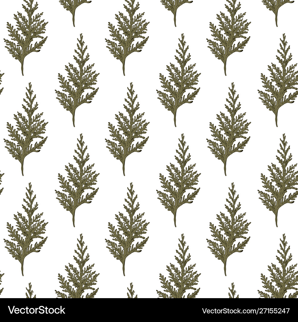 Seamless fit evergreen tree decoration background Vector Image