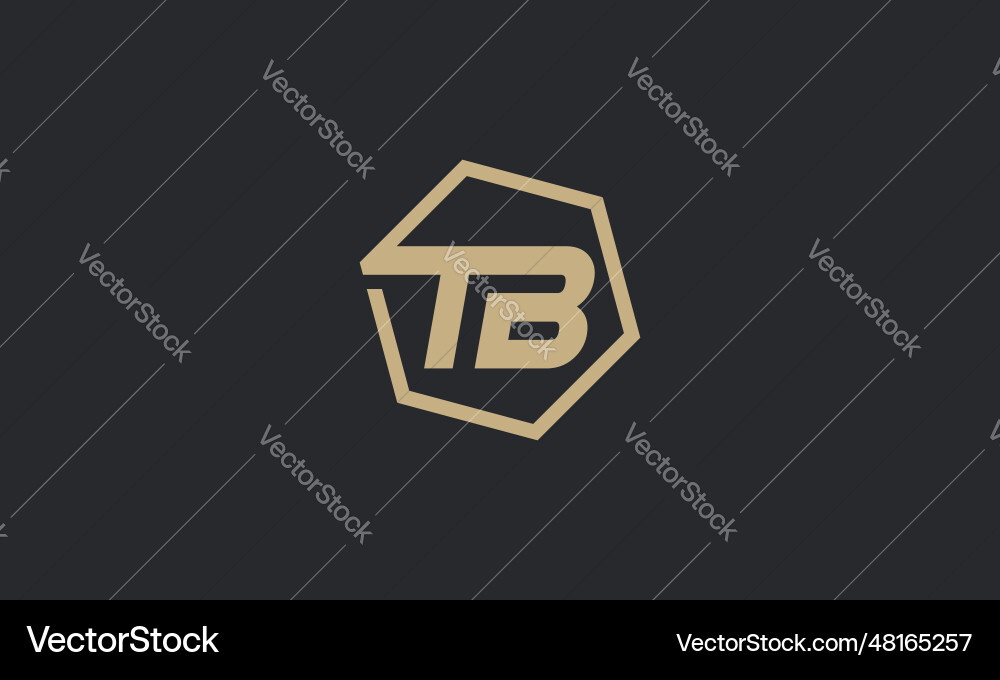 Letter tb logo design creative letters tb logo Vector Image