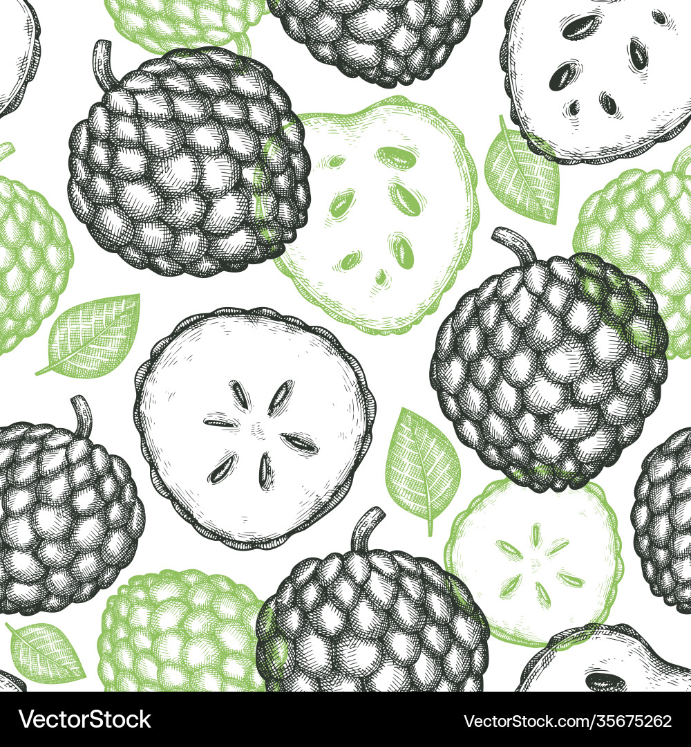 Hand drawn sketch style cherimoya seamless Vector Image