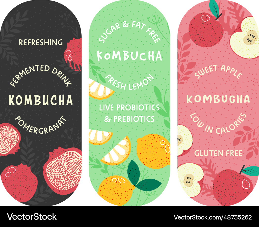 Kombucha stickers or package product design Vector Image