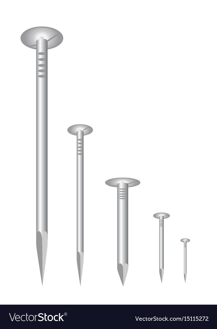 Nails Royalty Free Vector Image - VectorStock