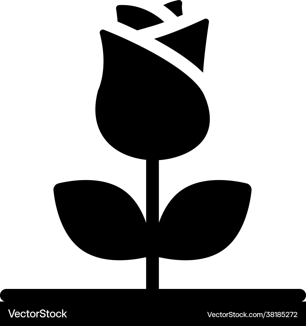 Rose Royalty Free Vector Image - VectorStock