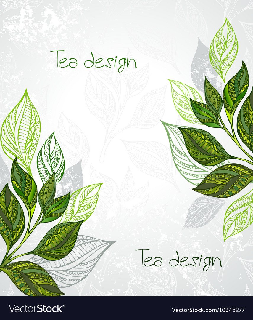 Tea design Royalty Free Vector Image - VectorStock