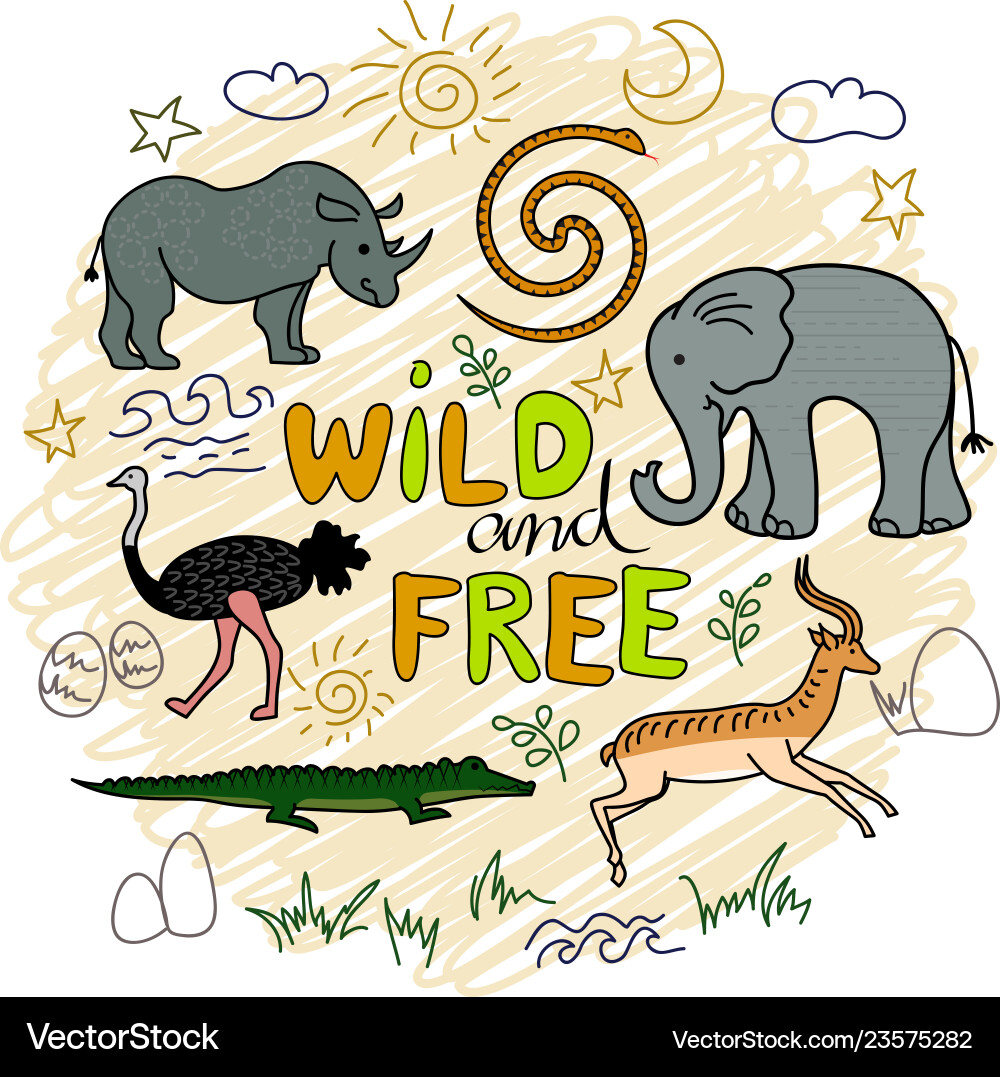 African Plants And Animals