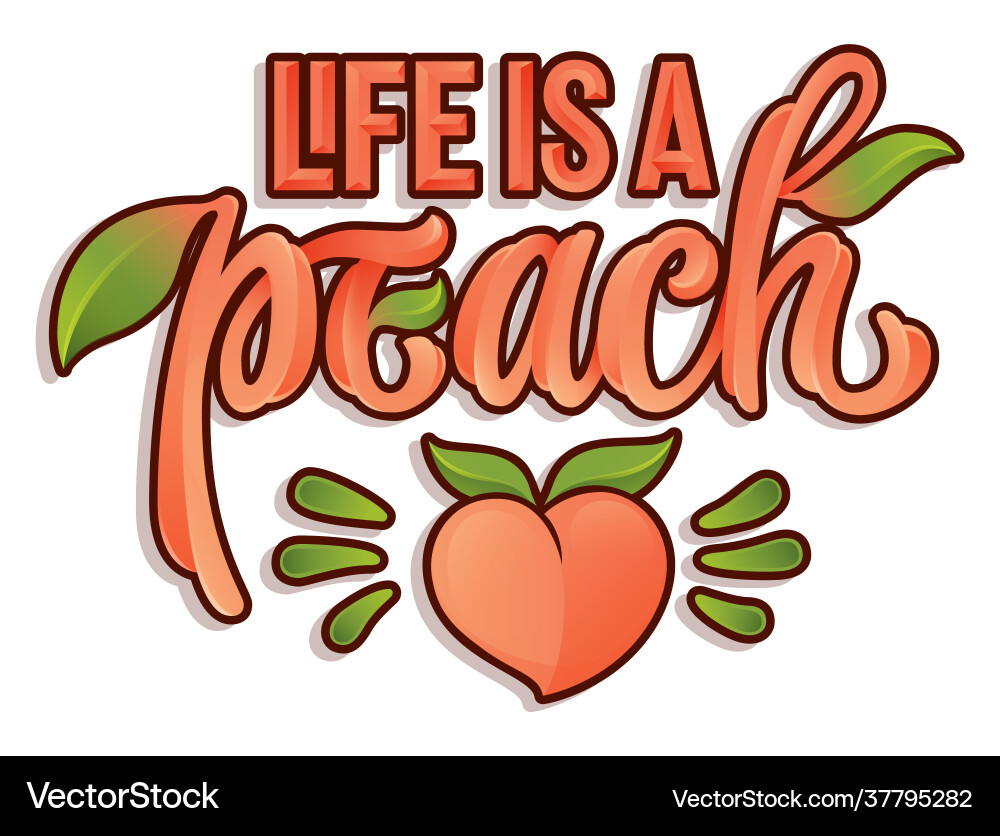 Hand drawn modern lettering - life is a peach Vector Image