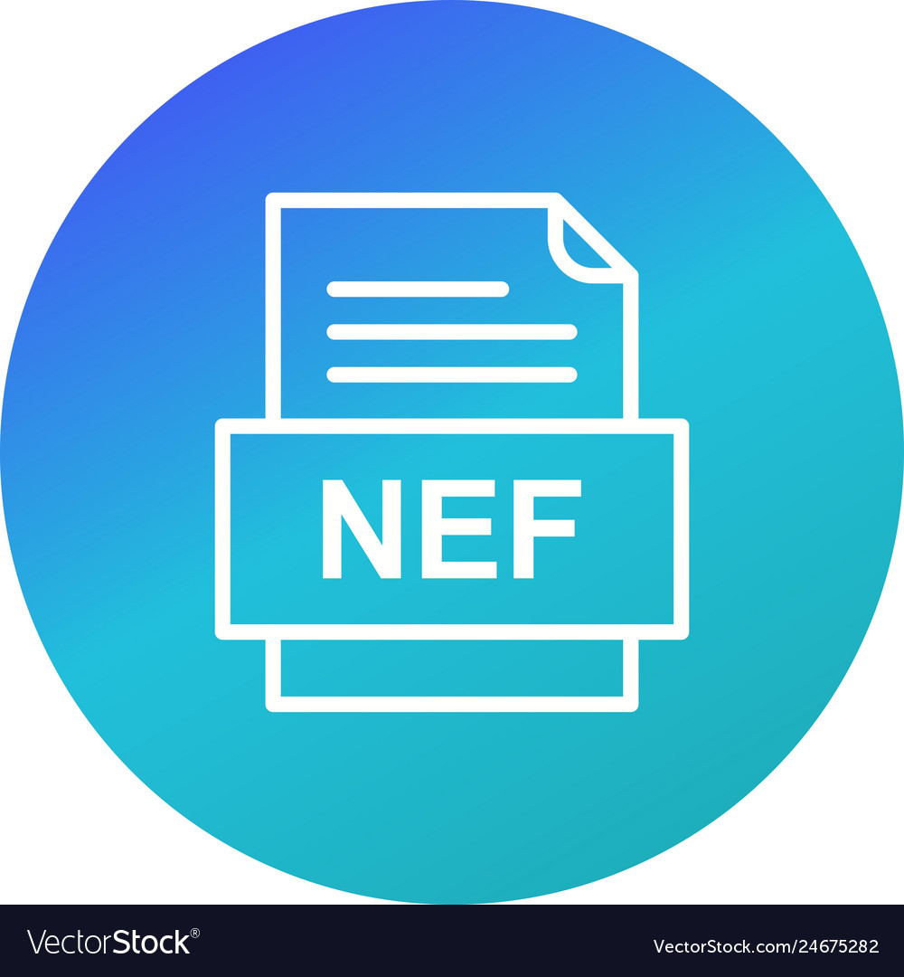 Nef file document icon Royalty Free Vector Image