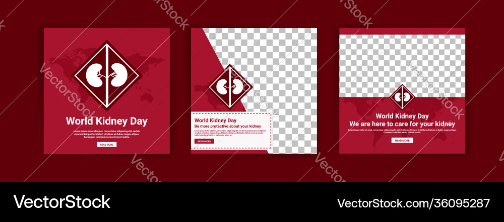 Collection social media posts for world kidney Vector Image