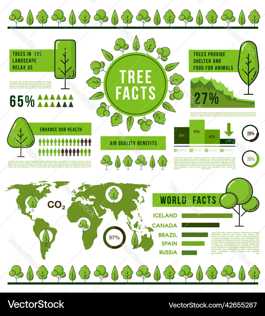 Forest trees infographics nature world ecology Vector Image