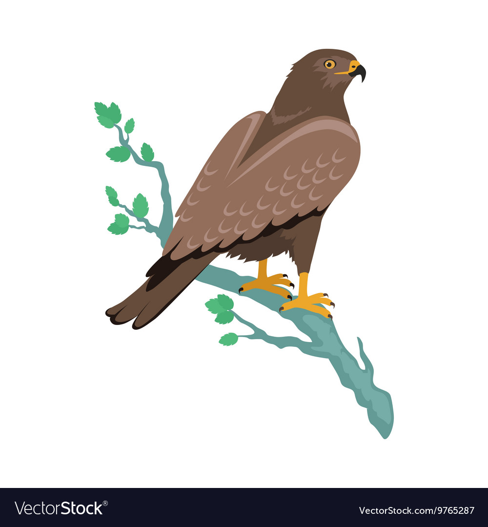 Hawk Flat Design Royalty Free Vector Image - VectorStock