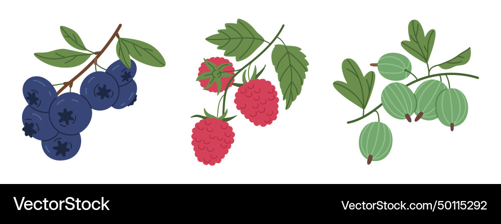 Edible fresh berries juicy forest Royalty Free Vector Image
