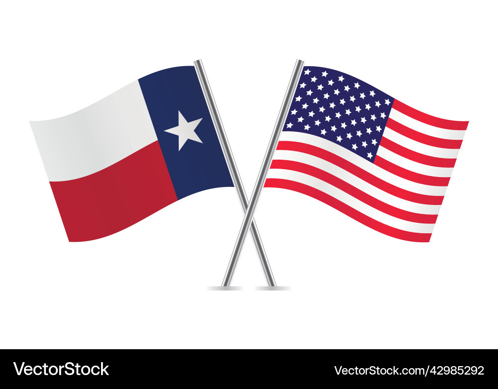 Texas and america crossed flags Royalty Free Vector Image