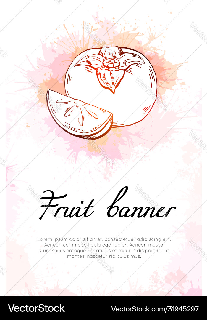 Vertical banner with outline persimmons Royalty Free Vector