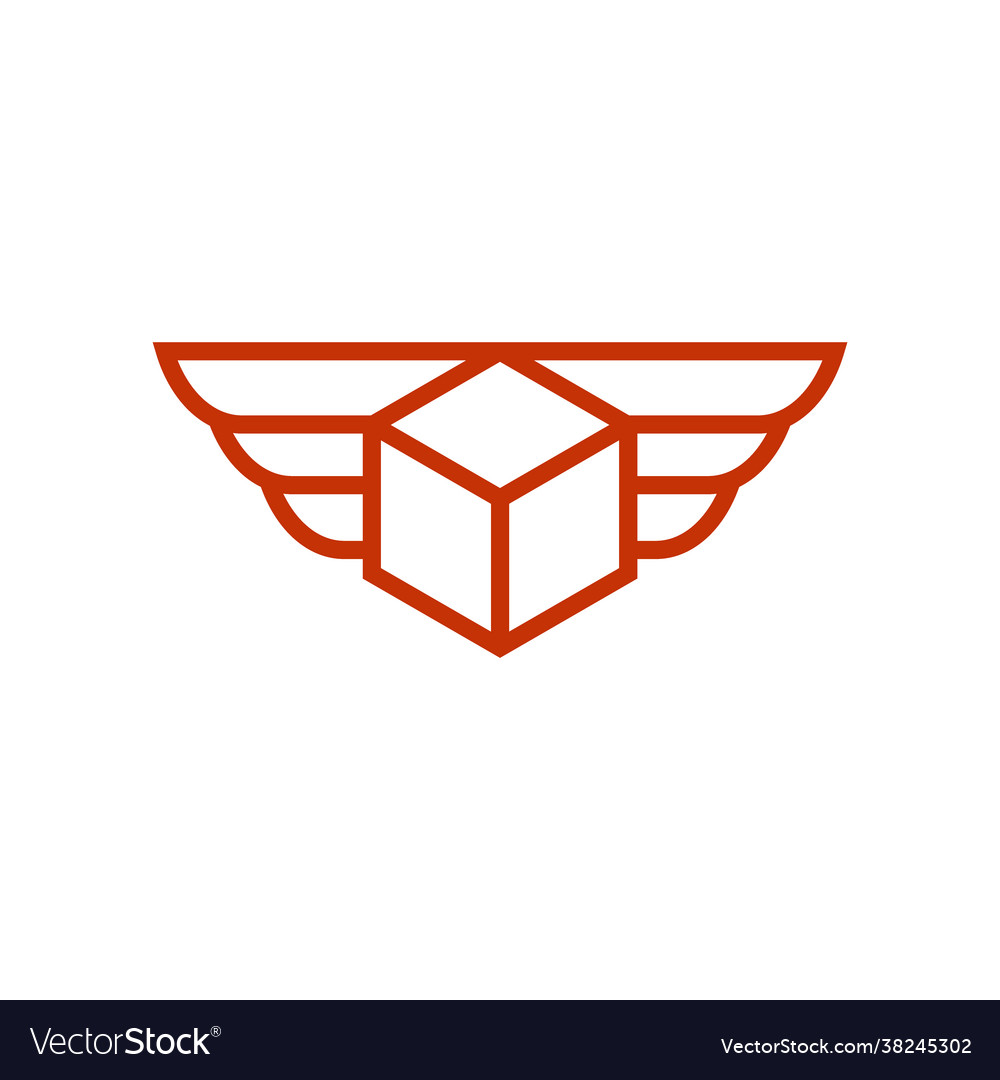 Flying box logo Royalty Free Vector Image - VectorStock