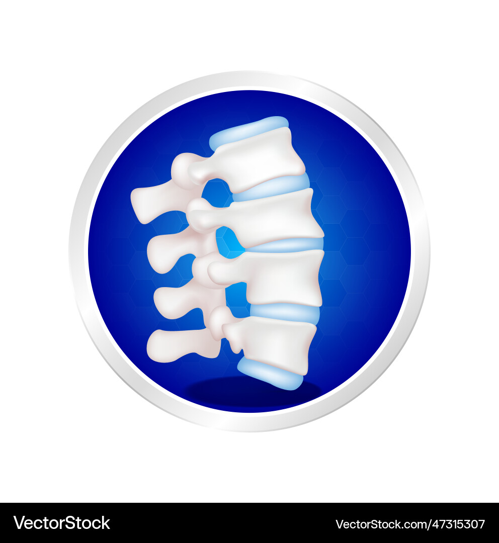 Label aluminum backbone disc joint with healthy Vector Image