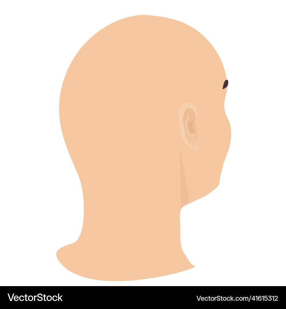 Bald head of a man in side view Royalty Free Vector Image