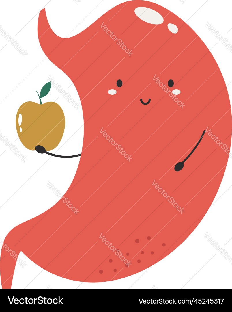 A happy healthy stomach Royalty Free Vector Image