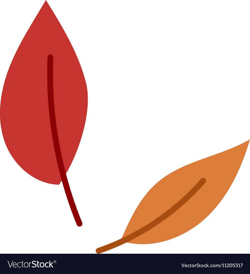 Autumn leaf Royalty Free Vector Image - VectorStock