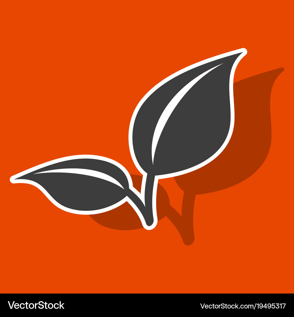 Fresh mint leaf sticker menthol healthy aroma Vector Image