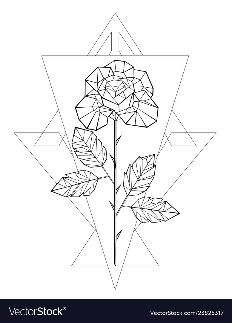 Polygonal rose Royalty Free Vector Image - VectorStock