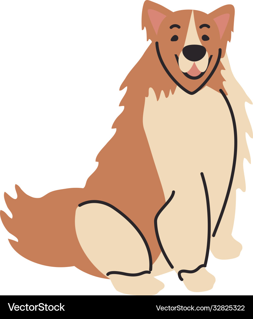Cute pet dog on white background Royalty Free Vector Image
