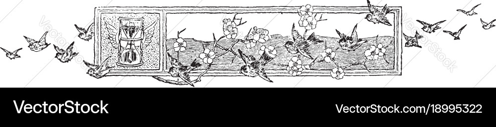 Header footer have a flock birds flying across Vector Image