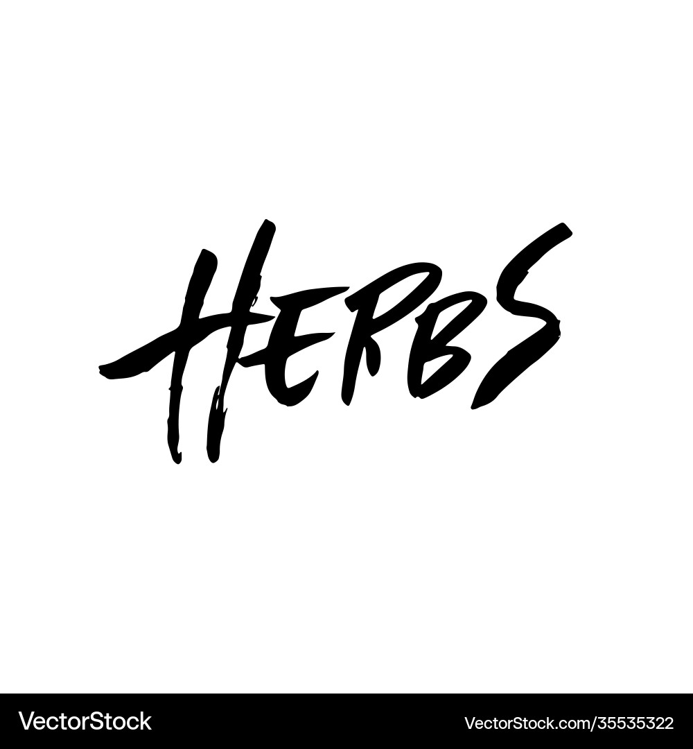 Herbs modern dry brush lettering ink handwriting Vector Image