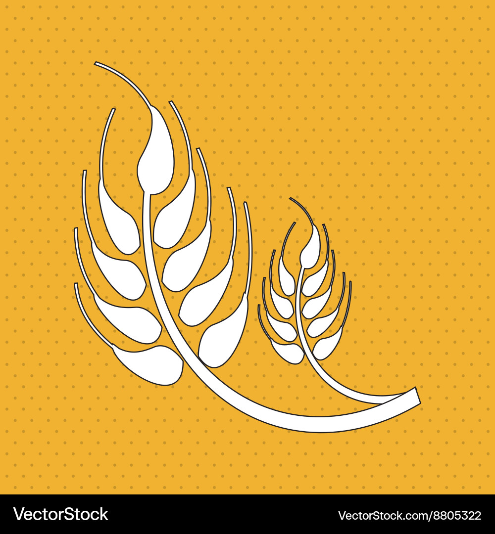 Wheat icon grain design agriculture concept Vector Image