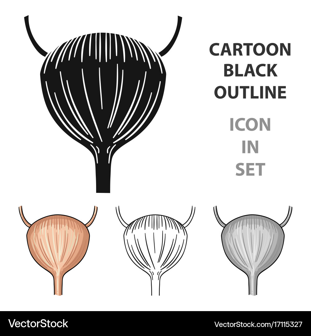 Human urinary bladder icon in cartoon style Vector Image