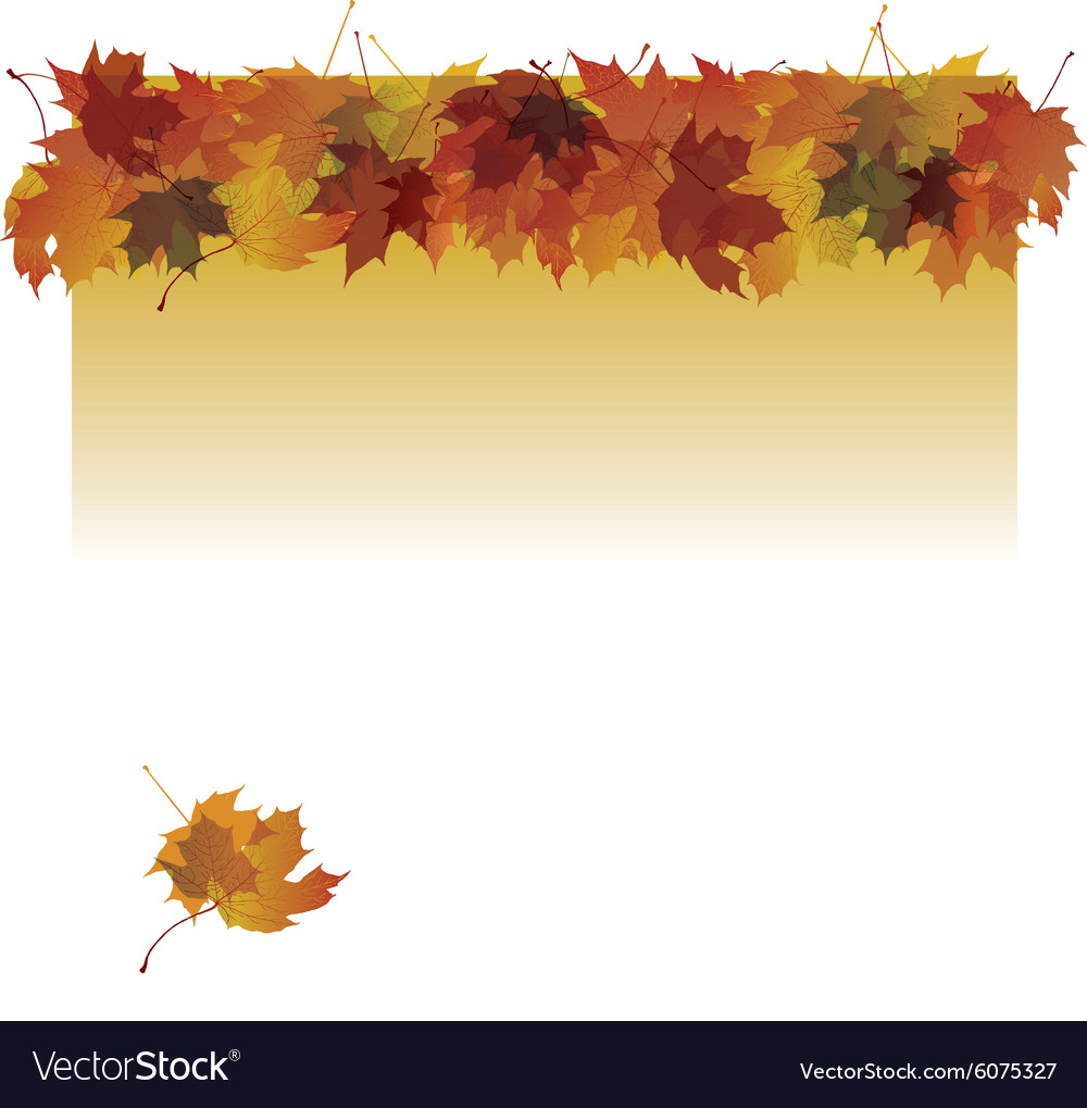 Maple fall on gradient background Royalty Free Vector Image
