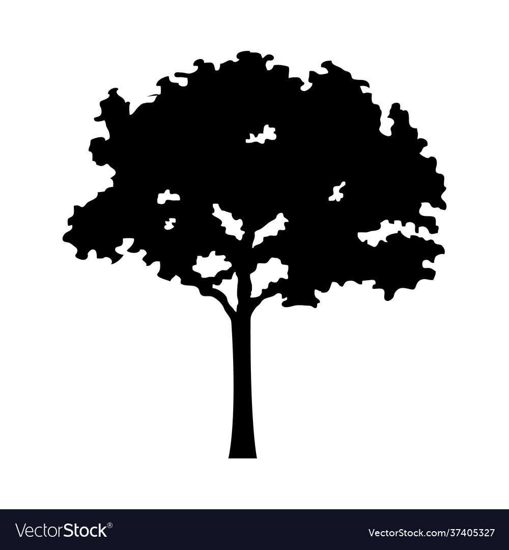 Walnut tree icon Royalty Free Vector Image - VectorStock