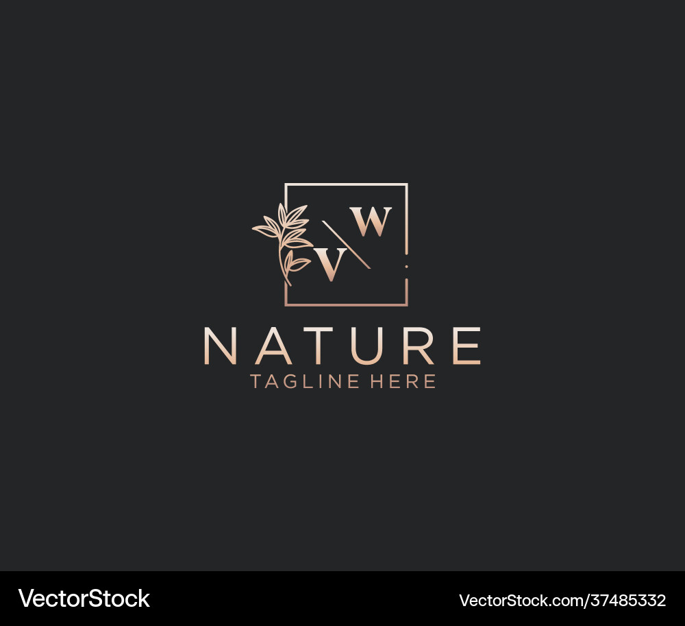 Initial wv letters beautiful floral feminine Vector Image