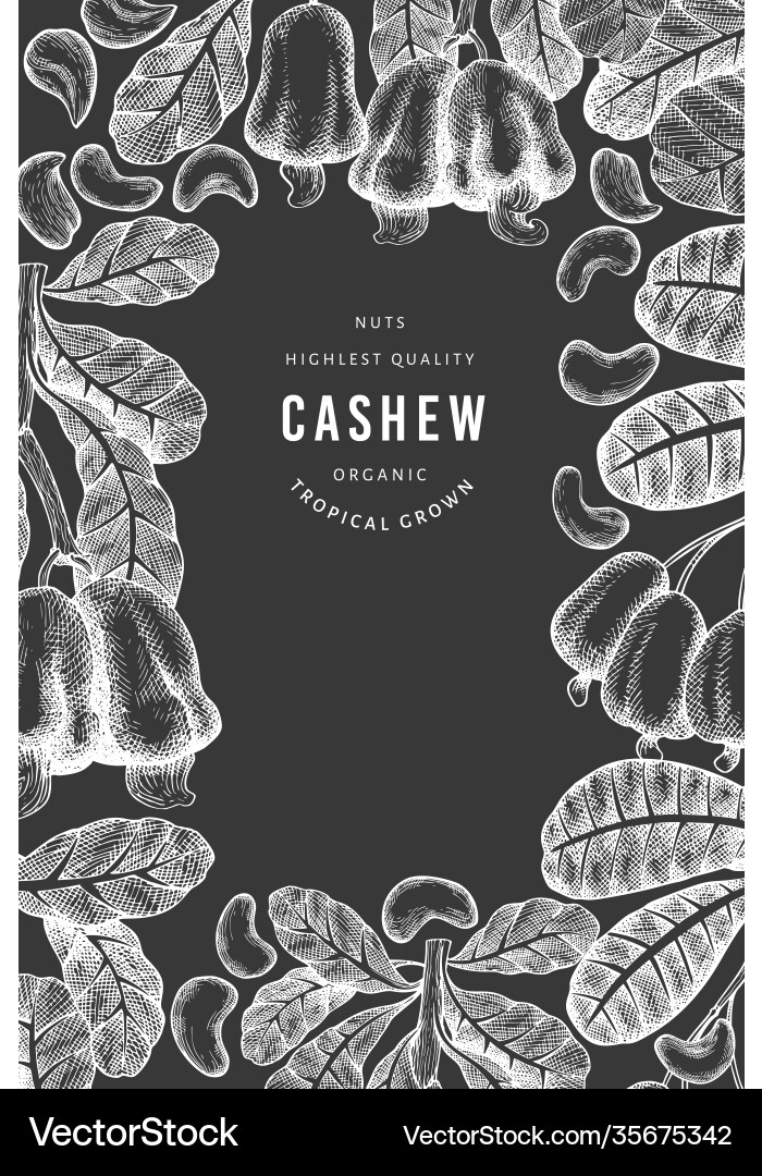 Hand drawn sketch cashew design template organic Vector Image