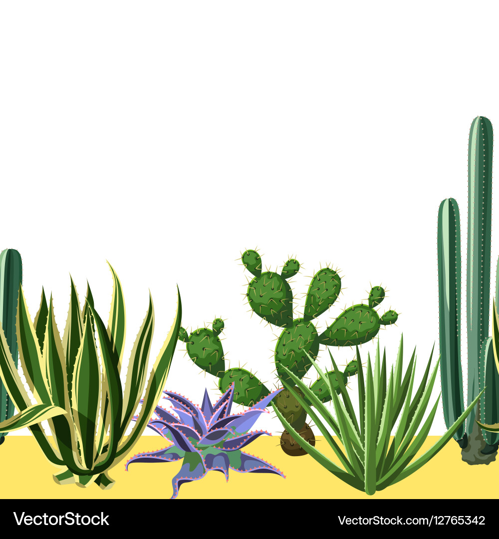 Seamless border with cactuses and succulents set Vector Image