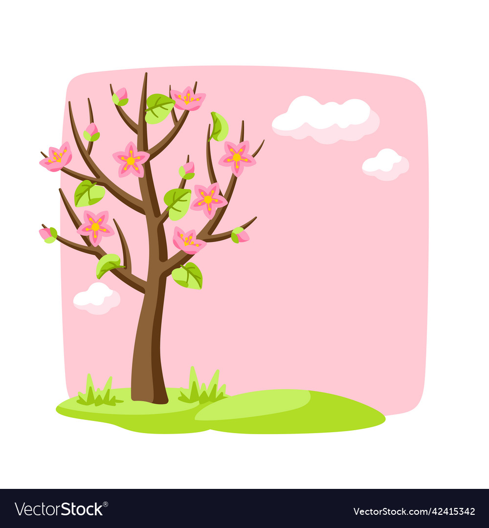 Spring tree with flowers and leaves seasonal Vector Image